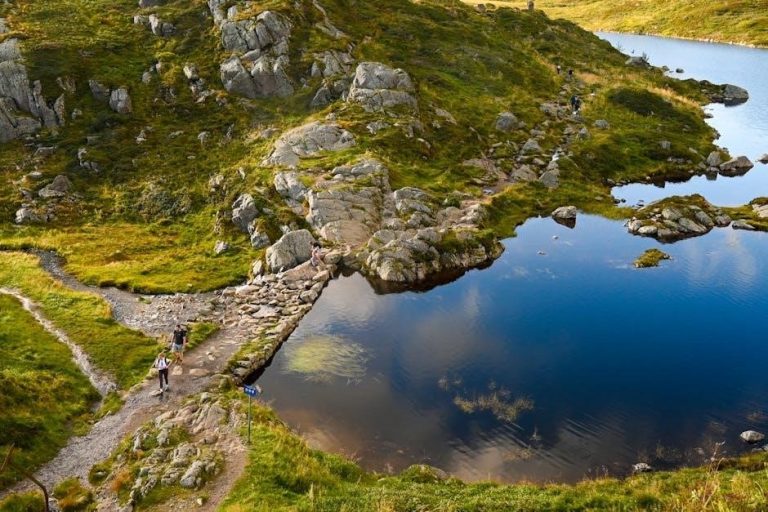 Nitnem Path PDF: Download Free Sikh Prayer Book